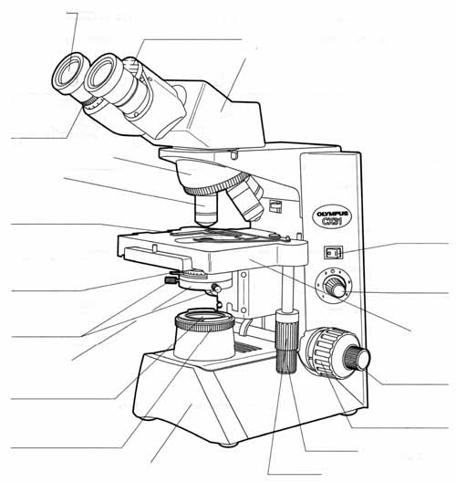Compound Microscope Without Labels